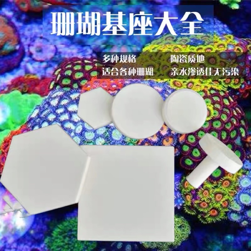 Coral Frag Plug For Reef Saltwater Marine Reef Safe Aquarium [Ready ...