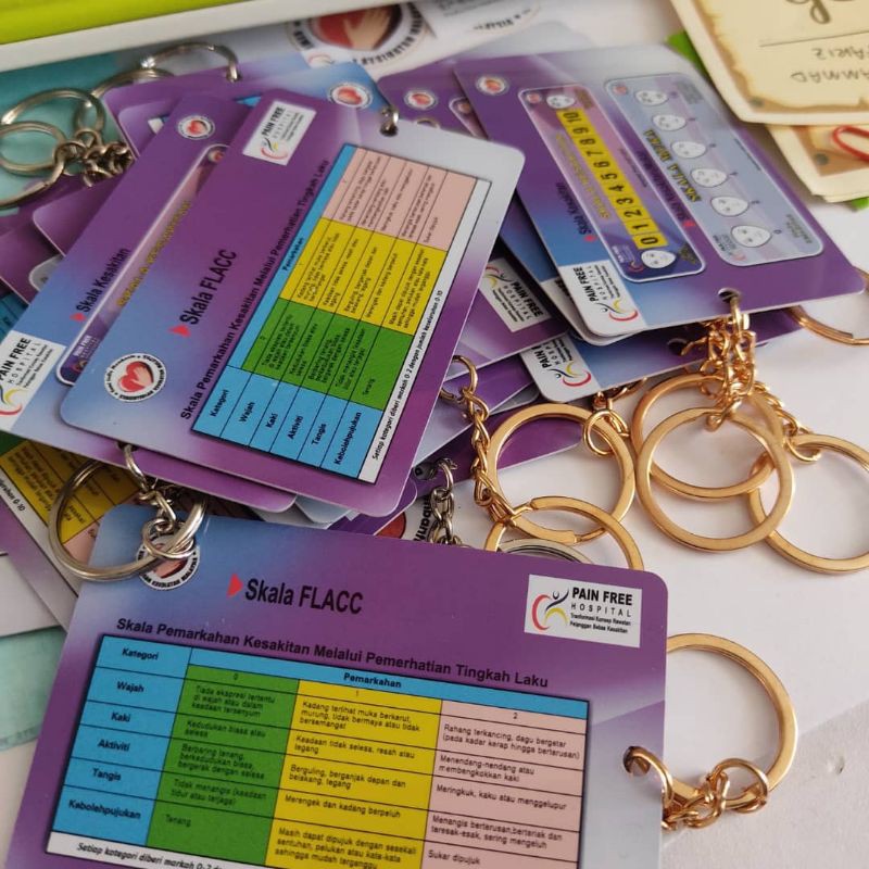 Pain Score Card Keychain Pain Score Scale Flacc Scale ATM Card Size