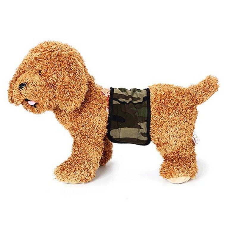 What Are Belly Band For Dogs