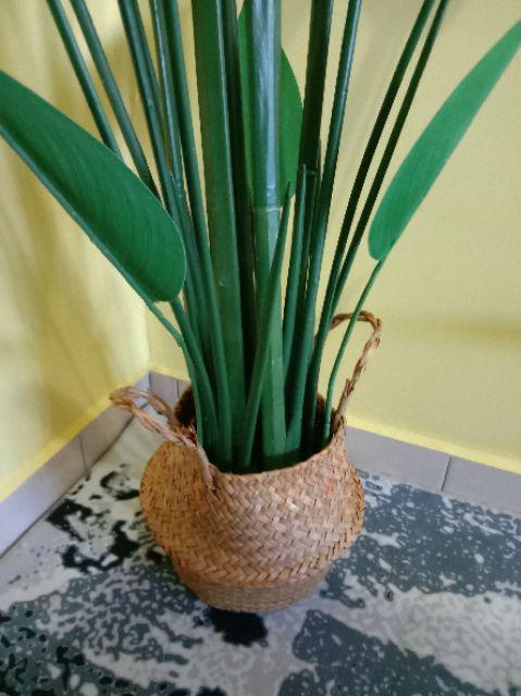 Pasu Pokok Bunga Rotan Rattan Bakul Rotan Artificial Plant Pot Handmade ...