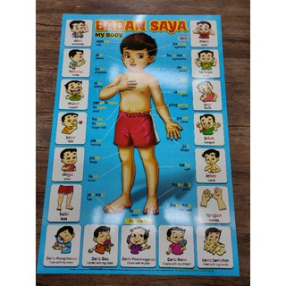 POSTER CARTA ANGGOTA BADAN SAYA | Shopee Malaysia
