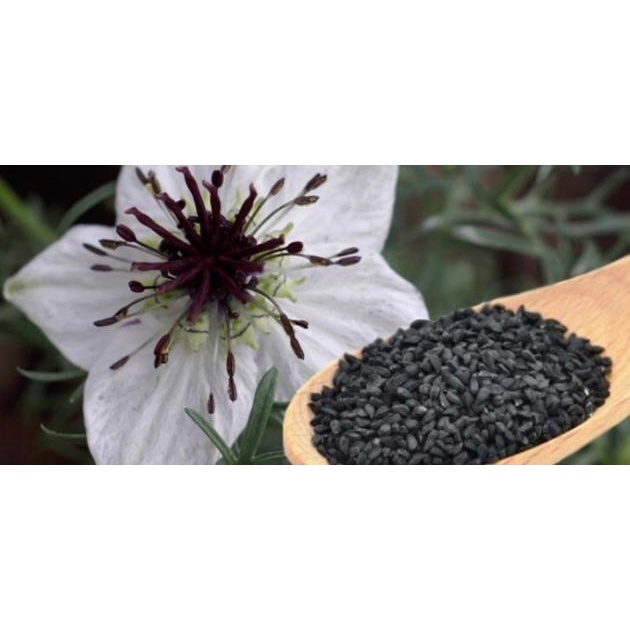 black seeds habbatu al hayah flower Fresh seeds with its Peel from ...