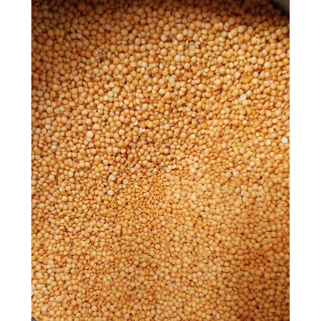 [Dried goods] MYSORE DHALL +/- 500g (pkt) | Shopee Malaysia