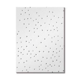 Pinhole 2' Foot x 4' Foot (Ceiling) | Shopee Malaysia