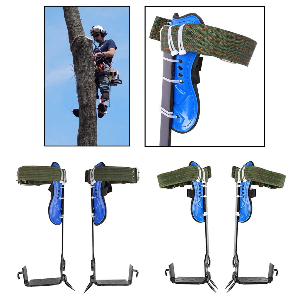 Garden Adjustable Stainless Steel Tree Climbing Spike Set Lanyard Rope ...