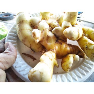 💥RIZOM @ ULAM TEMU PAUH@MANGGA💥(200 gram) | Shopee Malaysia