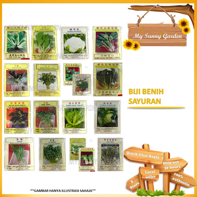 Biji Benih Sayur Buah Vegetable Seed Sayuran Sawi Salad Bayam Kangkung ...