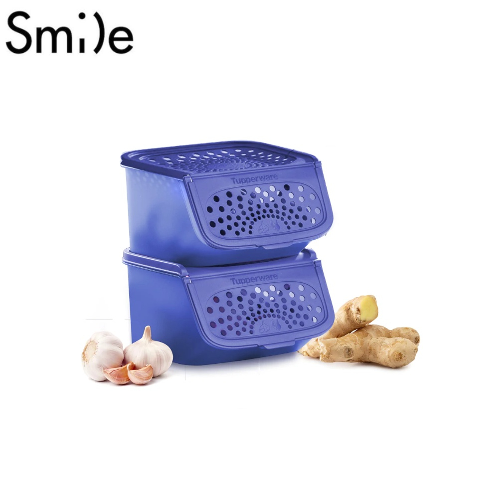 (New) Tupperware Garlic N All Keeper Set (2.3L) 2PCS | Shopee Malaysia