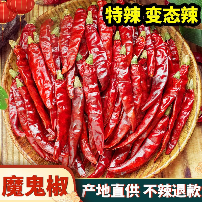 Extra spicy indian devil dried chili super spicy death chili特辣印度魔鬼干辣椒超辣 ...