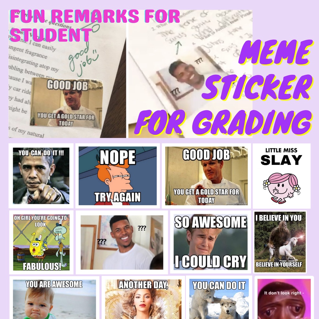 Teacher Meme Stickers for Students Paper Grading | Funny Hot Trendy Tik ...