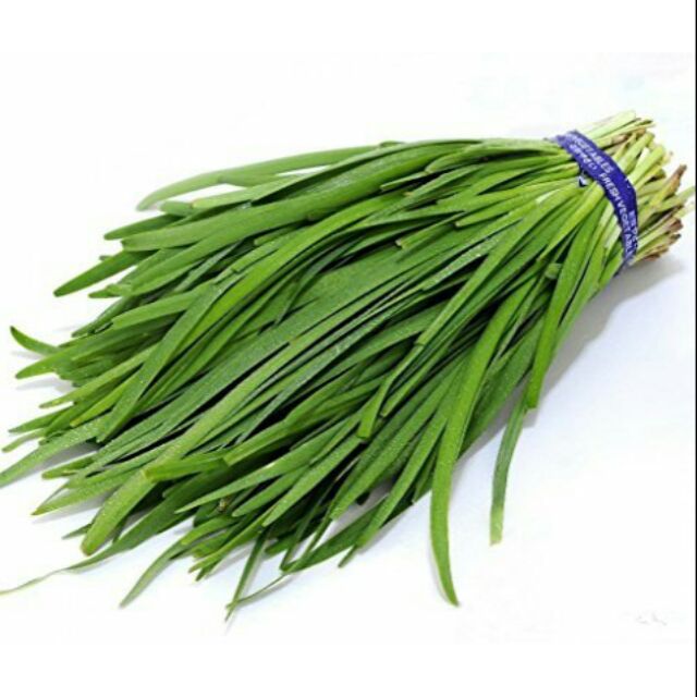 Pokok kucai ( ank pokok by polybag ) | Shopee Malaysia