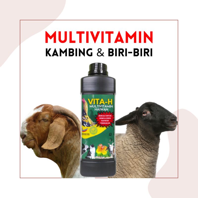 Vita-H Multivitamin Untuk Kambing Dan Biri-Biri | Shopee Malaysia