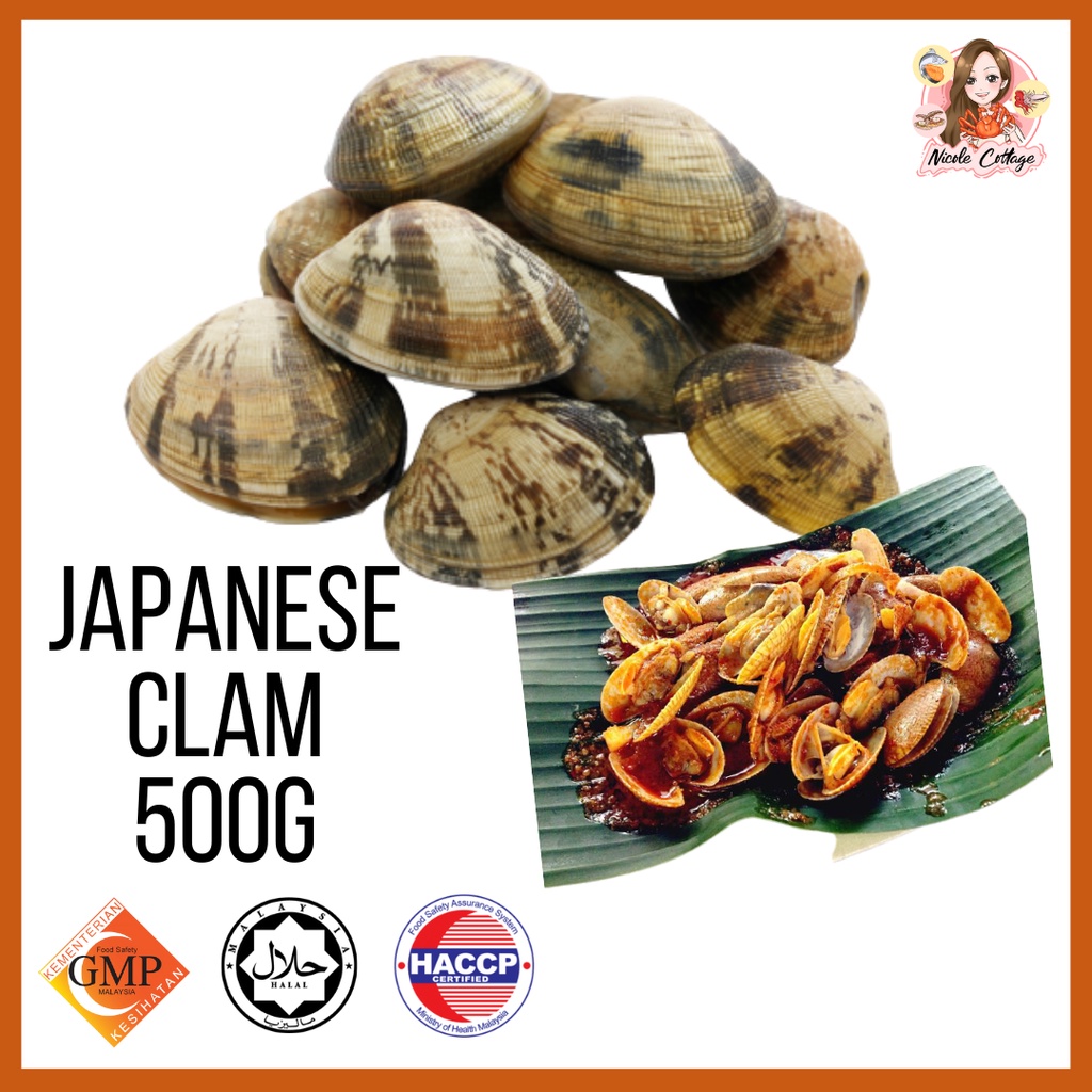 Short Neck Clam/Asari Clam/Japanese Clam/ Asari Lala 500G | Shopee Malaysia