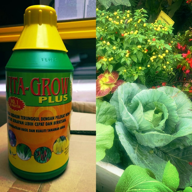 Vitagrow Plus 1L Micronutrient Lengkap | Shopee Malaysia