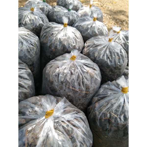 baja tumbuhan..keladi dan pokok lain2 | Shopee Malaysia