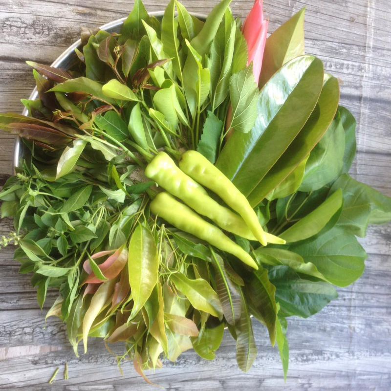 Ulaman Segar Nasi Kerabu Nasi Ulam Nasi Daun Kayu | Shopee Malaysia