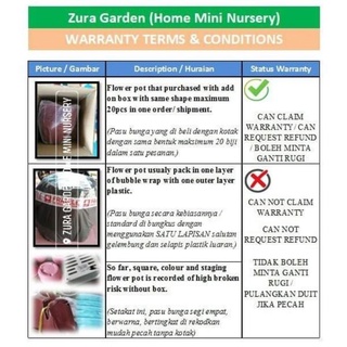 pasu bunga leper besar bulat round flat flower pot 33cm x 15cm indoor ...