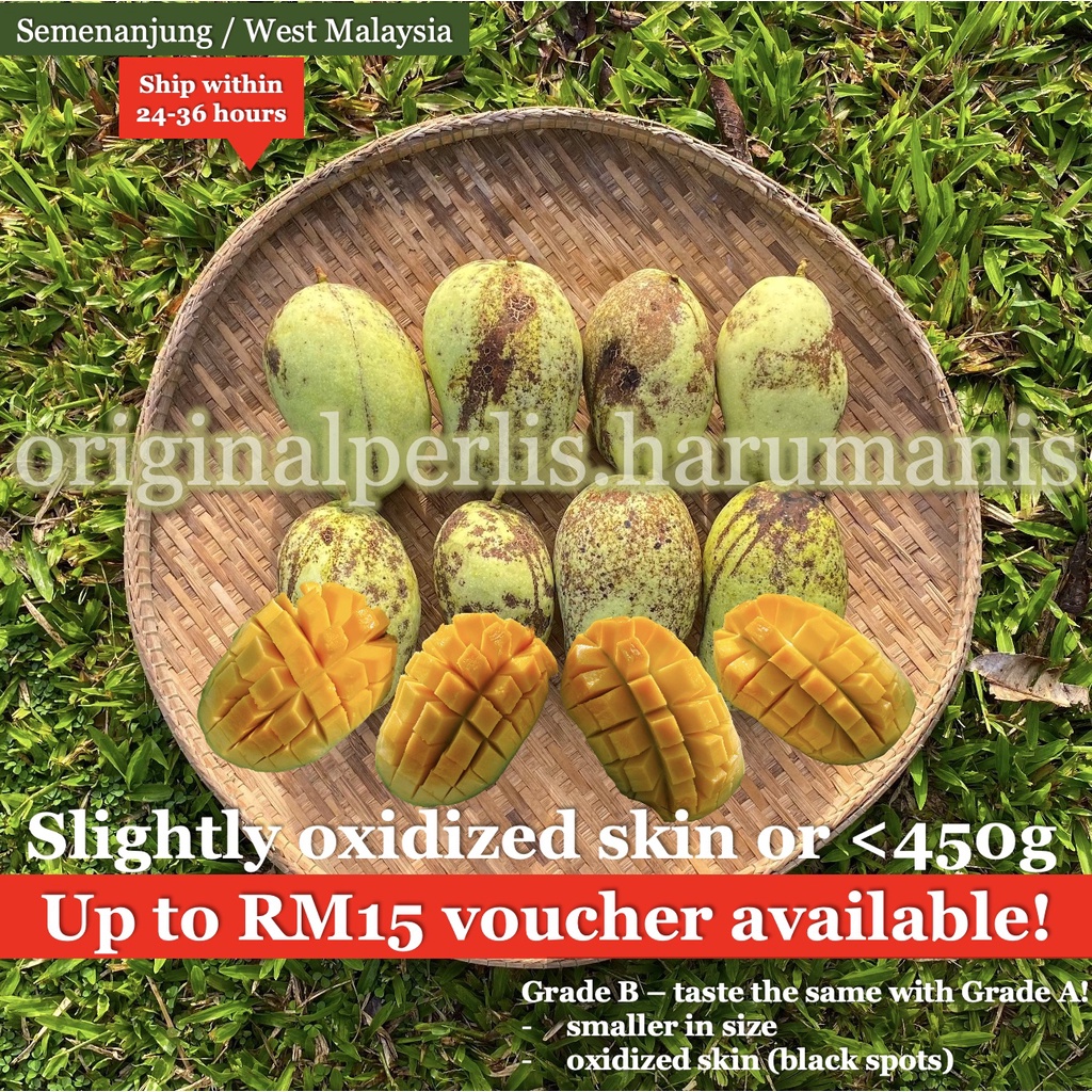 Premium Grade B Perlis Harumanis Mango / Mangga - 1KG, 2KG, 3KG, 5KG ...