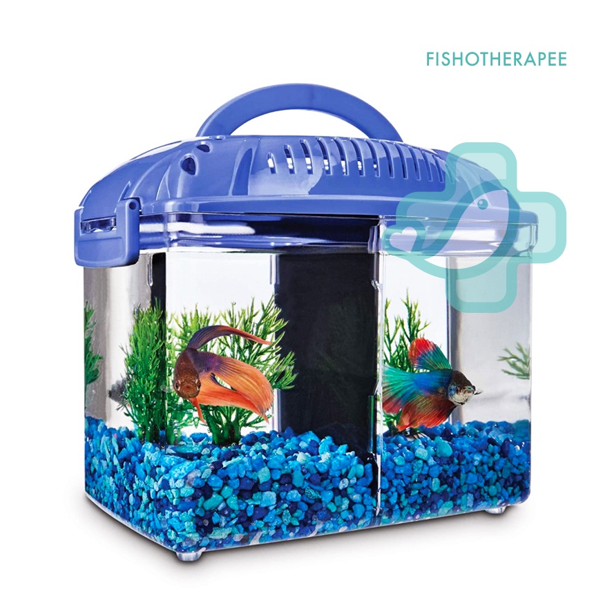 Imagitarium Betta Dual Habitat 0.8 Gallon Plastic Aquarium Bekas ...
