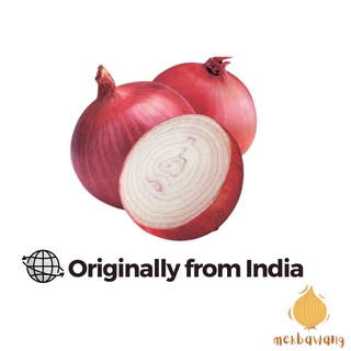Bawang Bombay / Bawang Besar India 500G | Shopee Malaysia