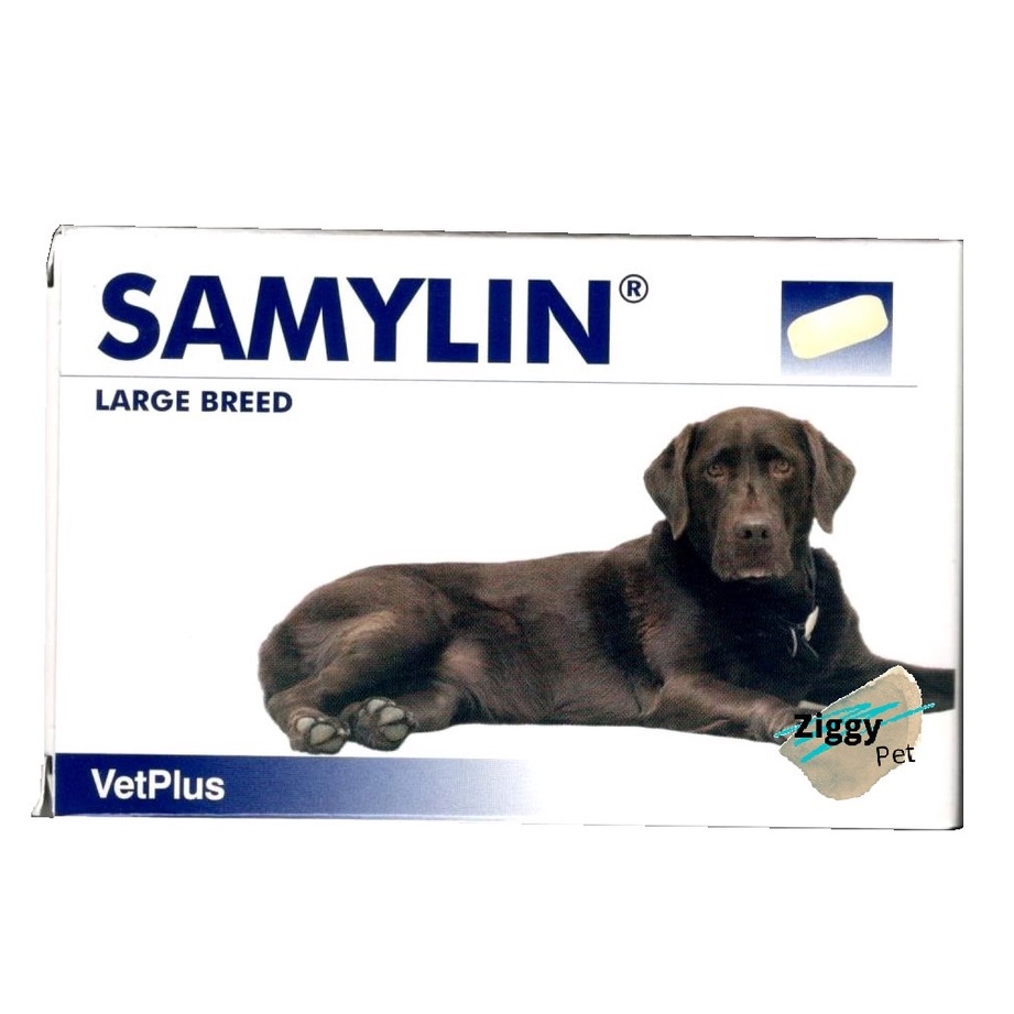Samylin Large Breed for Dogs 31 - 50kg (30 tablets) / Liver support ...