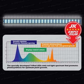 Neo Helios Flat Light XP Full Spectrum WRGB Ultra Slim LED Planted Tank ...