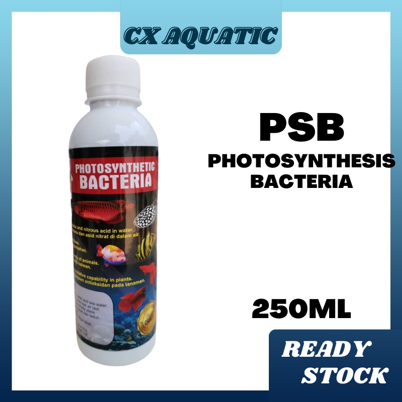 Photosynthesis Bacteria PSB 250ml | Shopee Malaysia