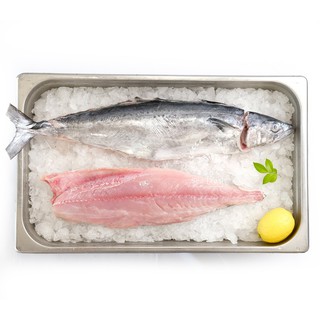 Ikan Tenggiri Bunga | Spotted Spanish Mackerel | Shopee Malaysia