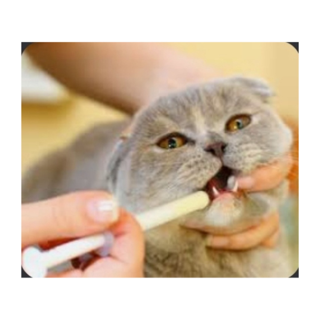 Cat Booster, Pre Probiotik Original Natural Imun booster utk kucing ...