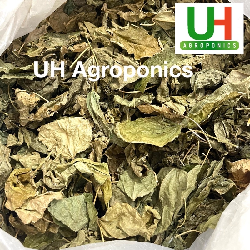 DAUN SACHA INCHI KERING | 100 GRAM | Shopee Malaysia