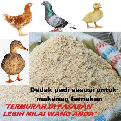 DEDAK PADI HALUS / FINE RICE BRAN makanan ternakan ayam,itik,kutu alga ...