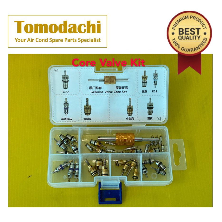 (READY STOCK)Valve Core Kit (Complete with valve opener). | Shopee Malaysia