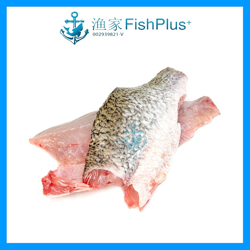 Boneless barramundi fillet / siakap fillet tempatan 400g~500g / 无骨 本地石甲 ...