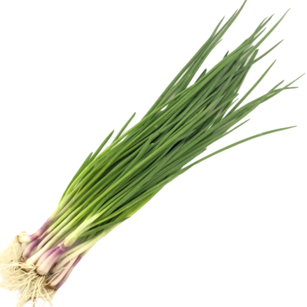 Spring Onion (1bunch) | Shopee Malaysia