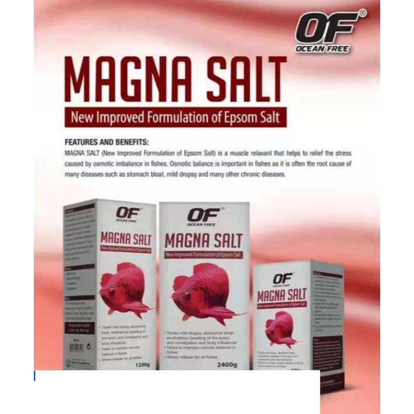 Of MAGNA SALT 600G/1200G | Shopee Malaysia