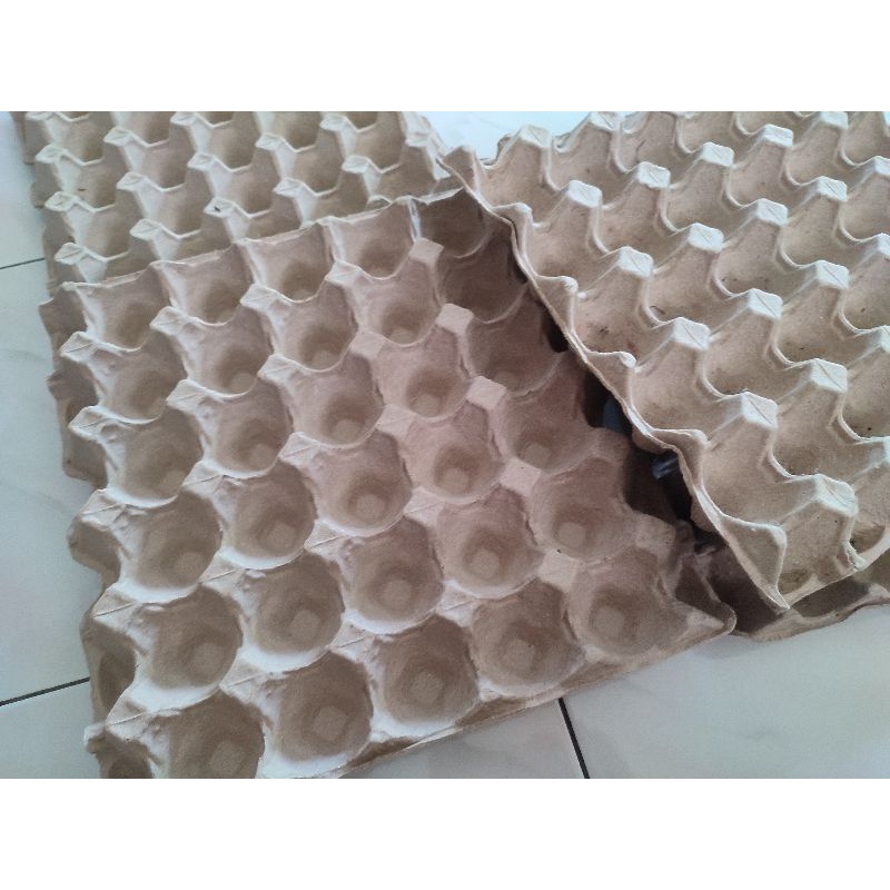 Bekas Telur Ayam / Papan Telur Ayam / Empty Egg Trays / 空鸡蛋纸盒 | Shopee ...