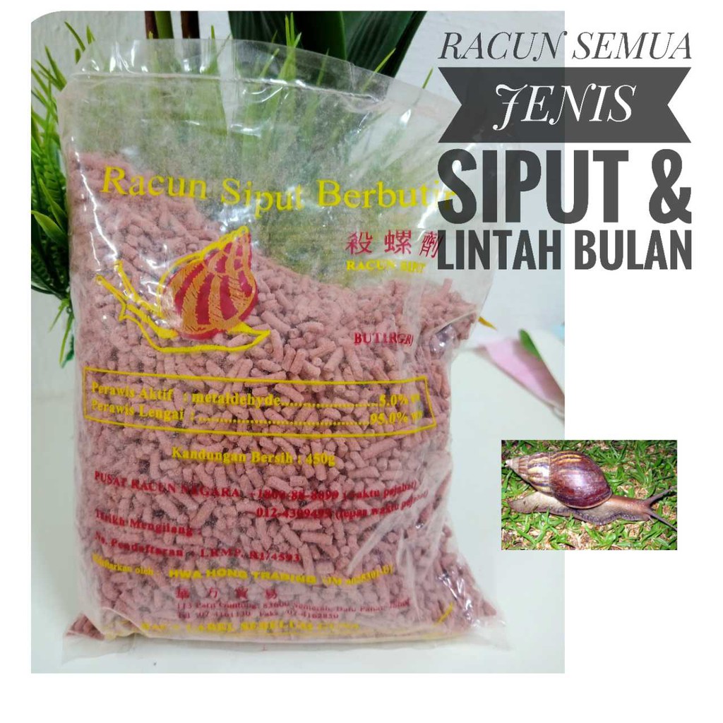 RACUN SIPUT ( SEMUA JENIS SIPUT & LINTAH BULAN ) | Shopee Malaysia