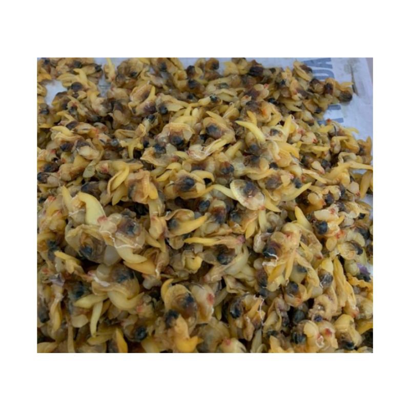 Siput Lala Kering Pangkor (100g) | Shopee Malaysia