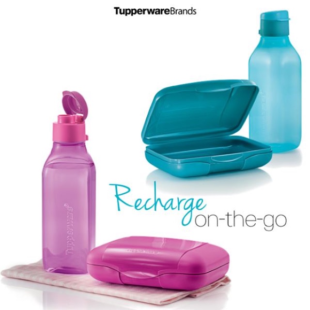 Tupperware Square Eco Bottle 500ml Slim Sandwich Keeper Compact Lunch ...