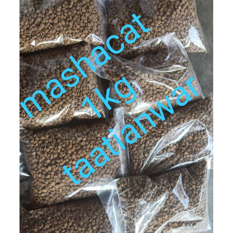 1 KG MAKANAN KUCING MASYA CAT 3 BULAN KE ATAS | Shopee Malaysia