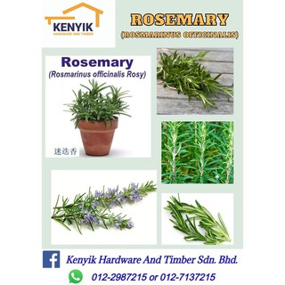 Kenyik Hardware. os, Online Shop | Shopee Malaysia