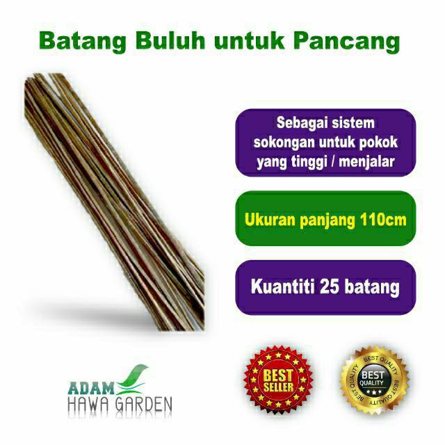 25 BATANG BULUH UNTUK PANCANG POKOK- BAMBOO PLANTS STAKES-PANCANG POKOK ...