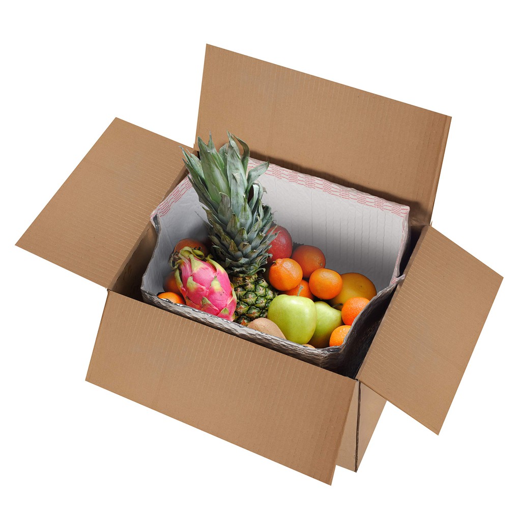 Ice Pack Packaging for Fresh Fruits and Vegetables | Shopee Malaysia