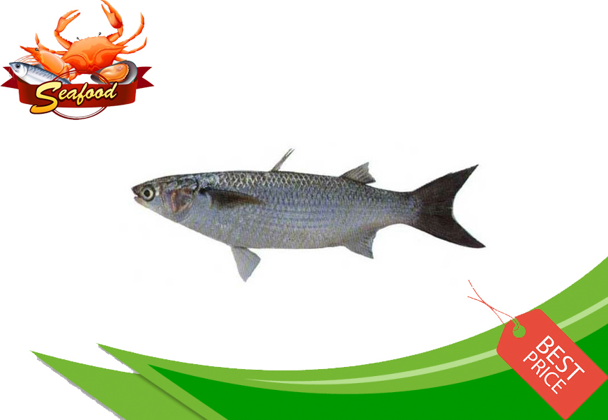 Ikan Belanak / Belanak Fish - 1kg/pkt | Shopee Malaysia