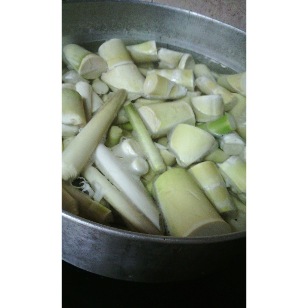 REBUNG MADU PENAMBAH SELERA MAKAN DAN BENIH BULUH MADU/BULUH HUTAN ...