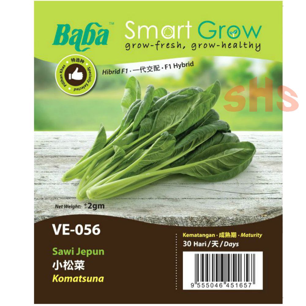 Baba Sawi Seeds Japanese Sawi (Komatsuna) White Stem Choy Sum Hong Kong ...