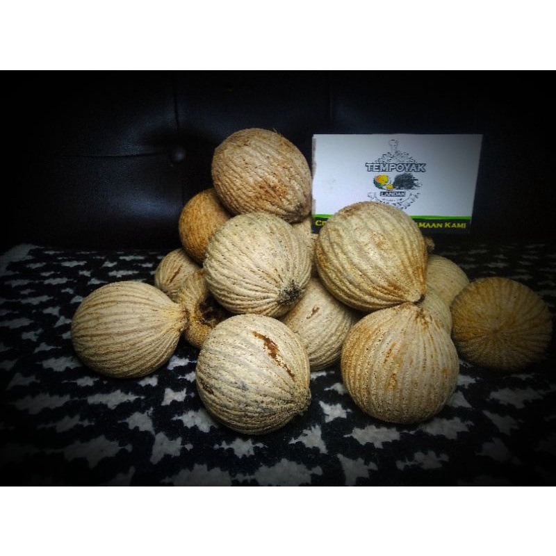 BUAH KULIM SEGAR BARU 2kg /GARLIC FRUIT FRESH | Shopee Malaysia