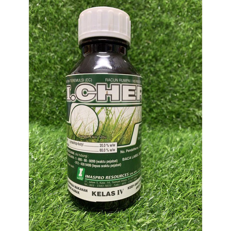 I.CHER RACUN RUMPUT 500ML / icher / rumput bunga tebu /rumput padi ...
