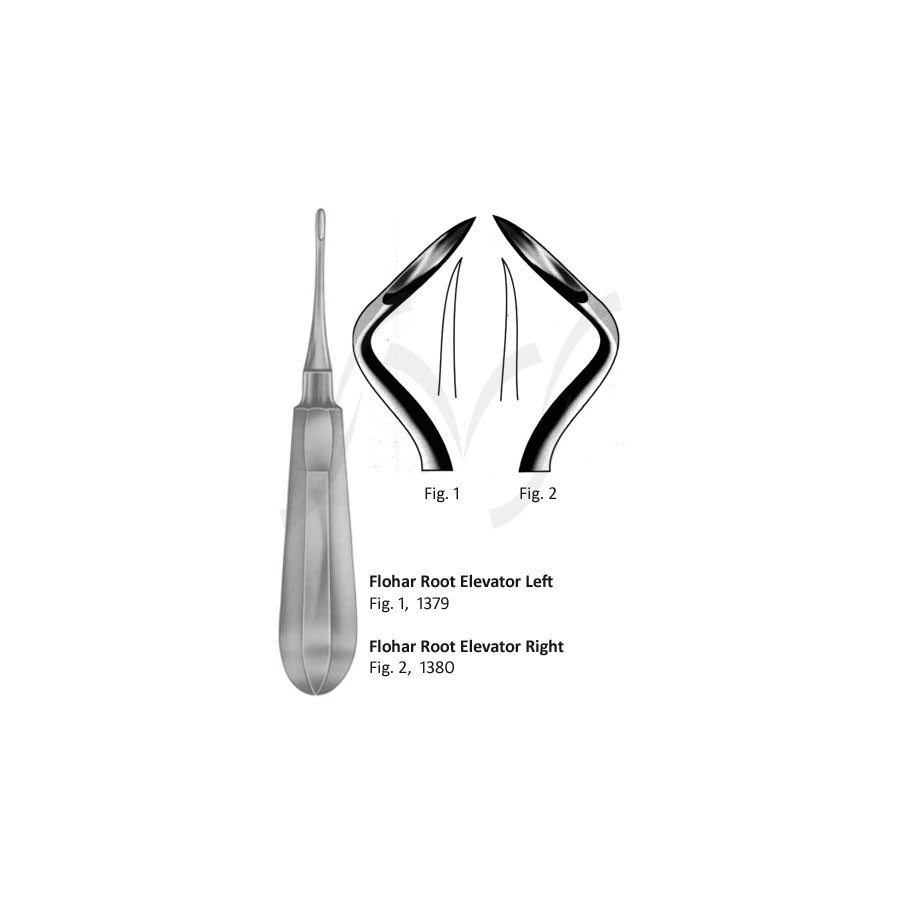 Dental Flohr Root Elevator Fig.2R | Shopee Malaysia