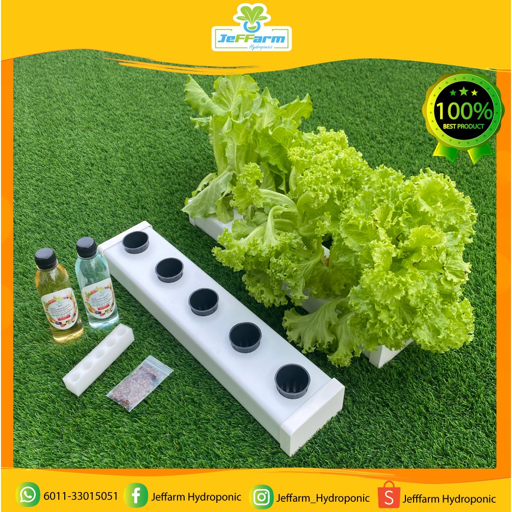 SET MINI HYDROPONIC 5 POT | JEFF FARM HYDROPONIC | Shopee Malaysia